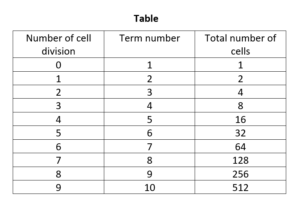 Carnegie - Math Book Answers