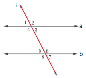 Envision Math Grade 8 Volume 1 Student Edition Solutions Chapter 6 ...