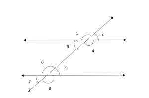 Envision Math Grade 8 Volume 1 Student Edition Solutions Chapter 6 ...